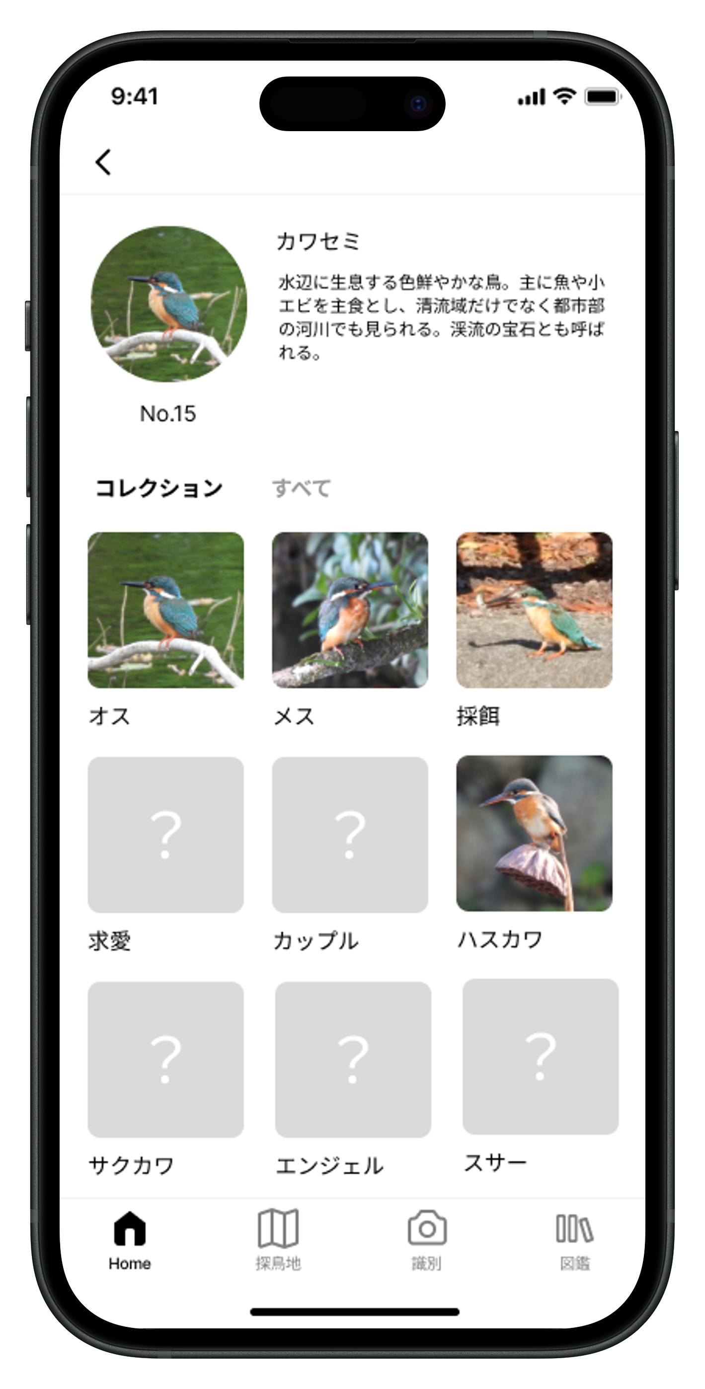 図鑑作成機能イメージ